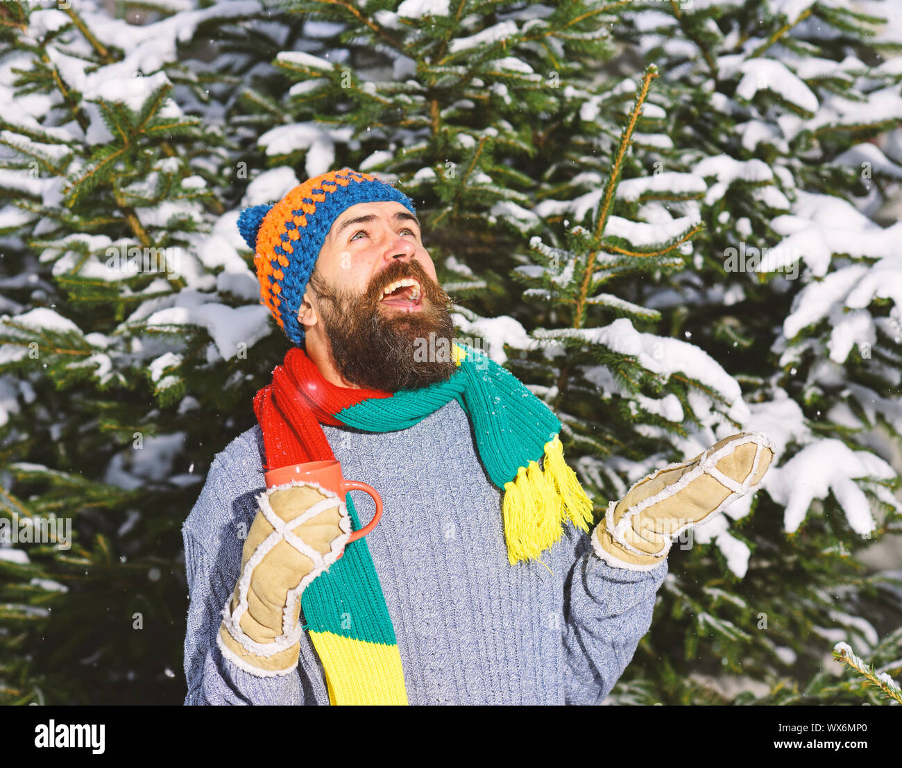 Macho with beard and mustache holds cup or mug. Man wears knitted hat ...