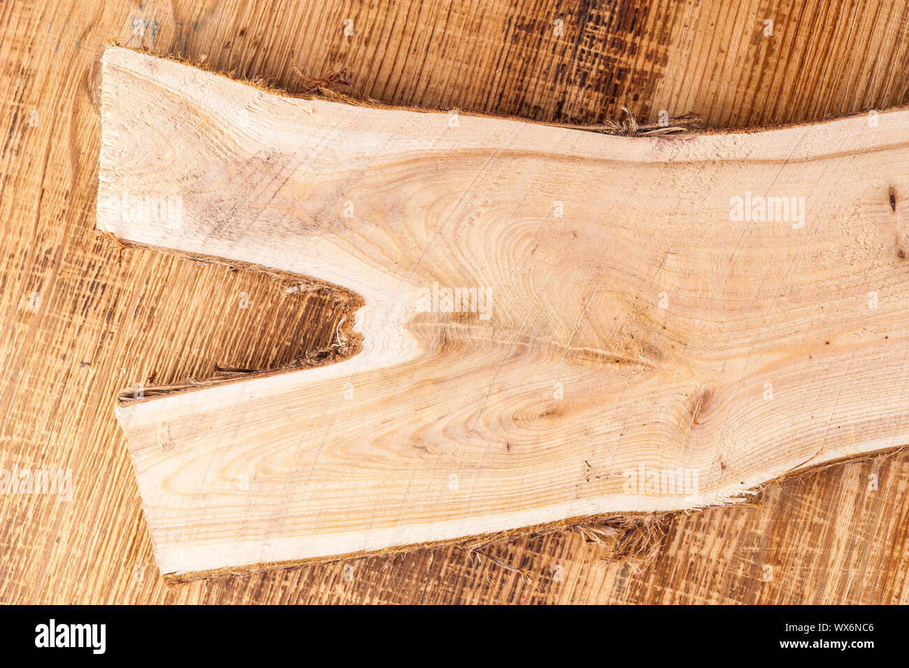 Juniper wood texture background with old natural pattern. Grunge ...