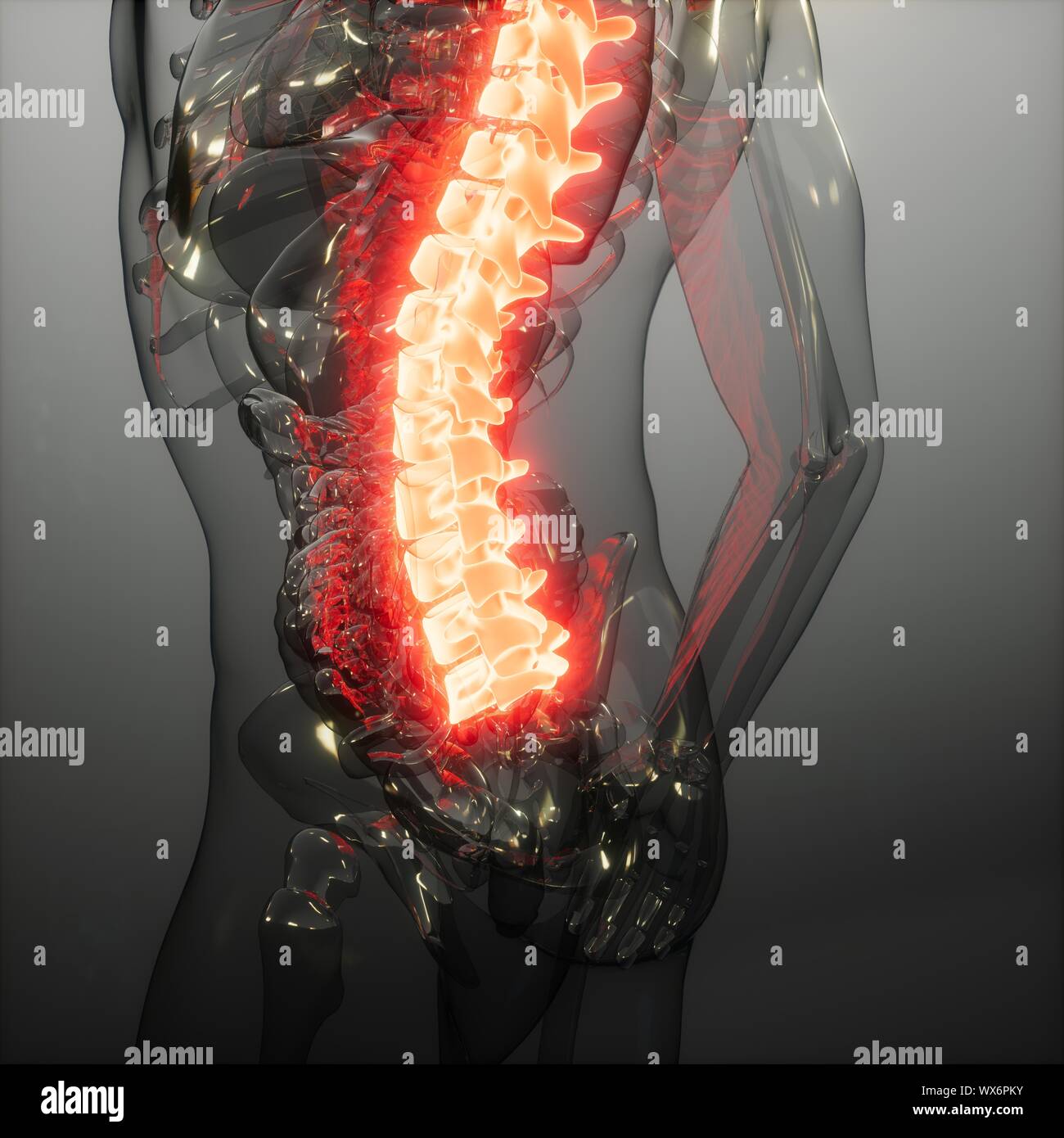 Backache in Back Bones Stock Photo - Alamy