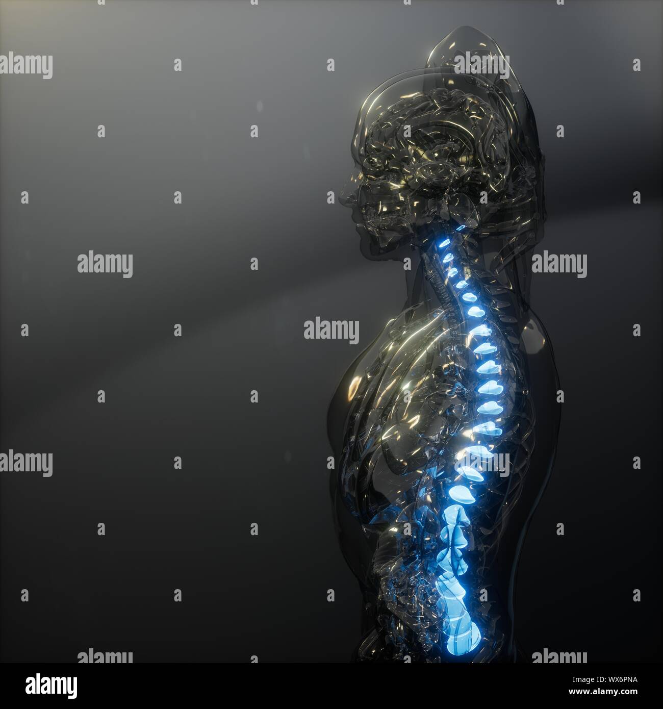 Backache in Back Bones Stock Photo - Alamy