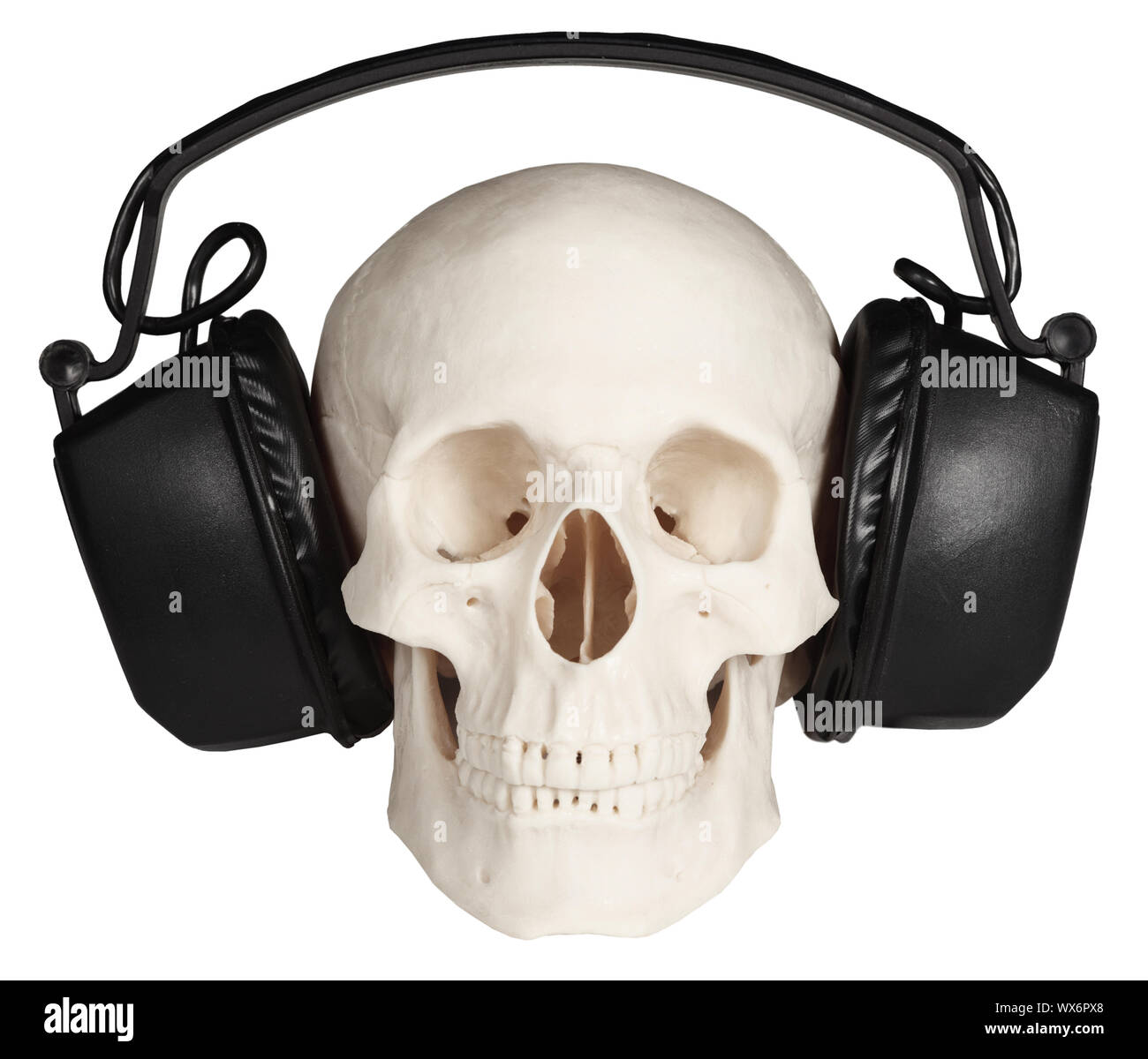 The human skull with music headphones on a white background Stock Photo ...