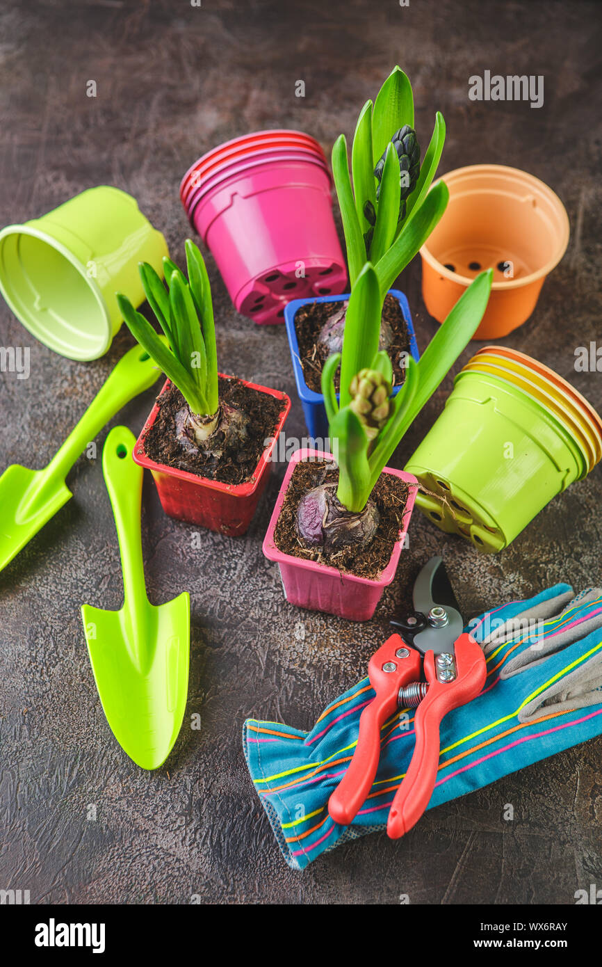 Spring flowers with gardening tools Stock Photo - Alamy