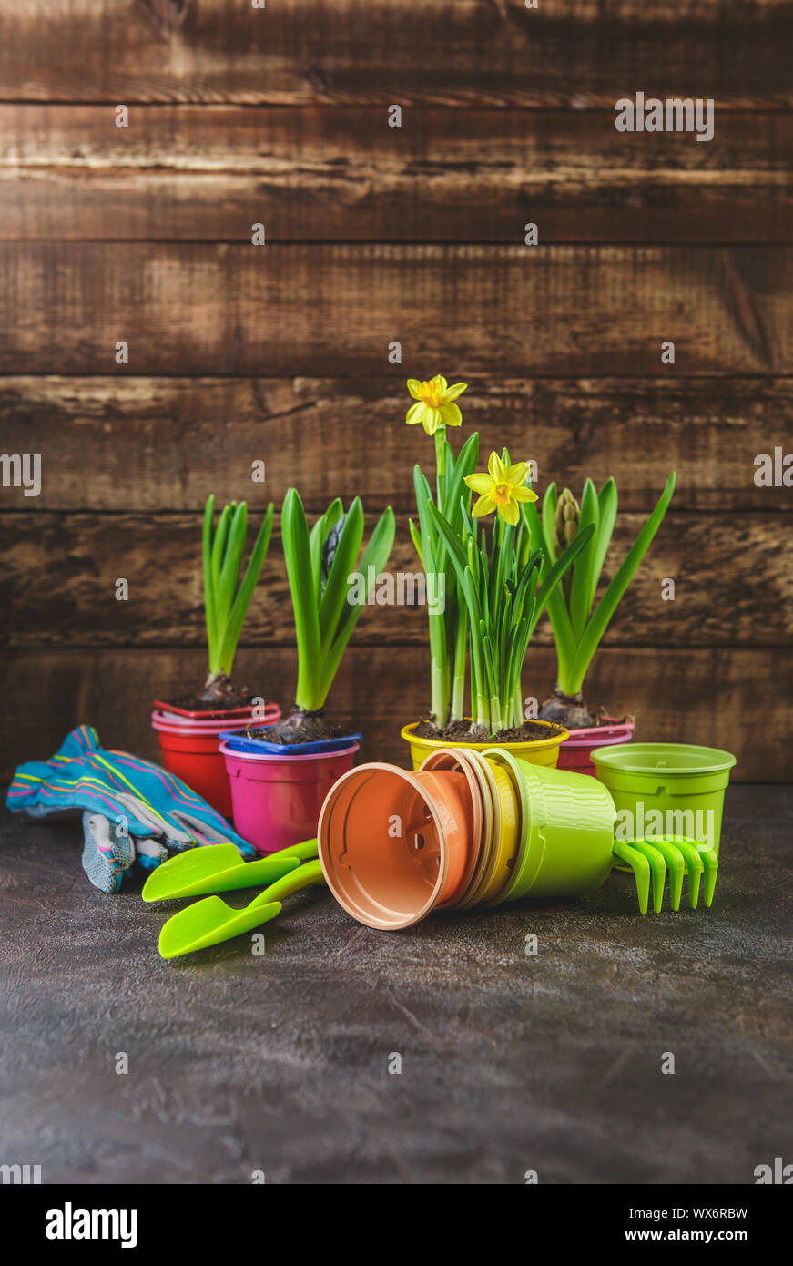 Spring flowers with gardening tools Stock Photo - Alamy
