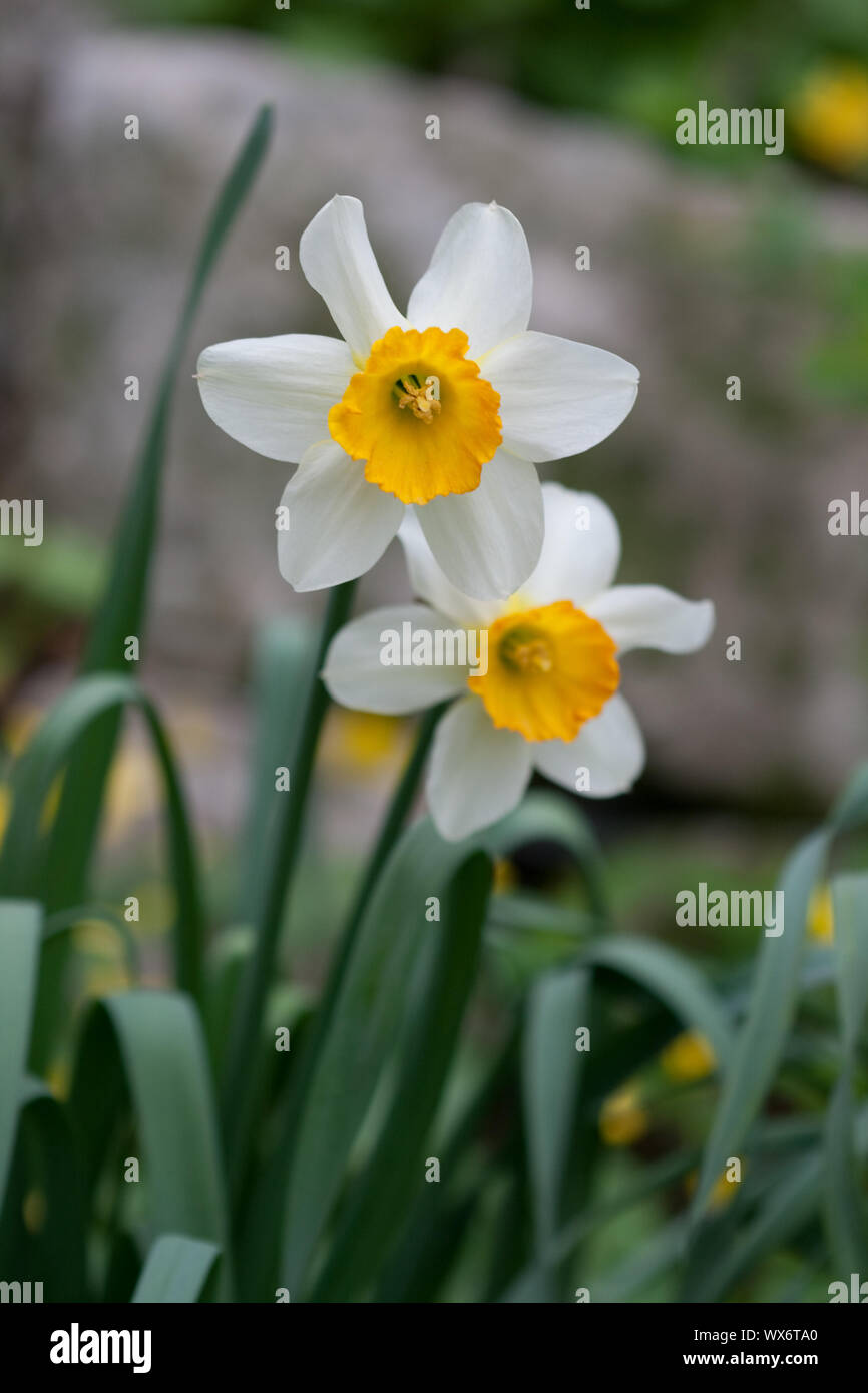 Beauty space hi-res stock photography and images - Alamy