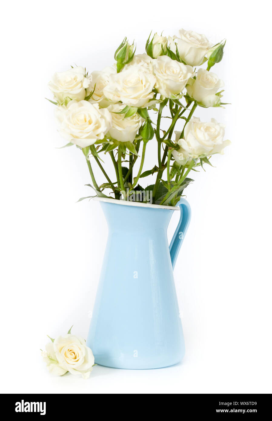 Botanic white hi-res stock photography and images - Alamy