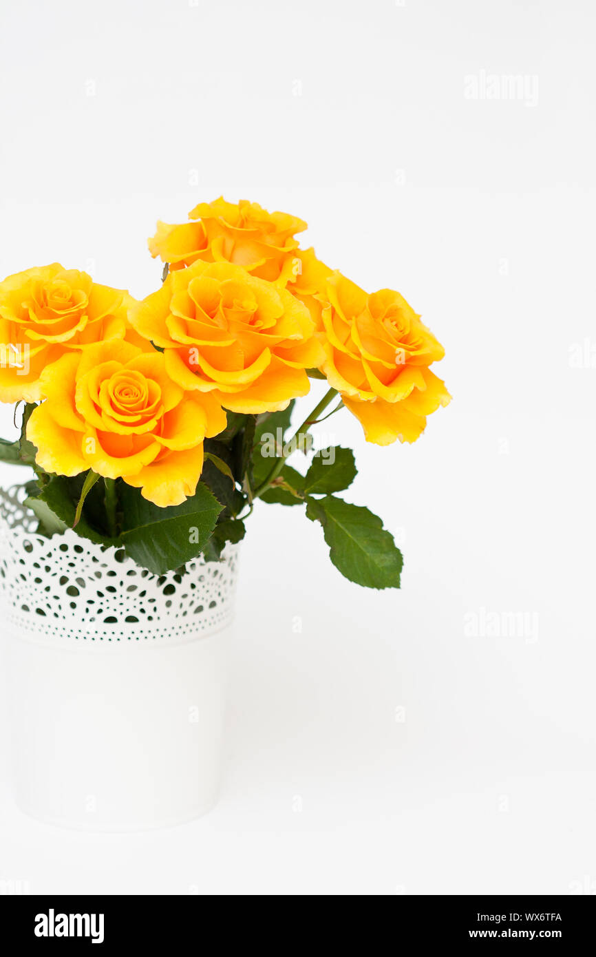 Roses floral vase hi-res stock photography and images - Alamy