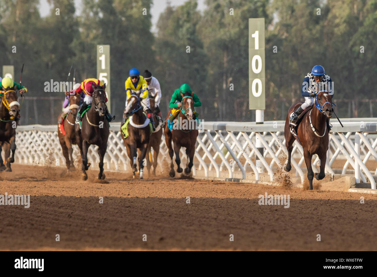 Horse Racing at King Khalid Racetrack, Taif, Saudi Arabia 28/06/2019 ...
