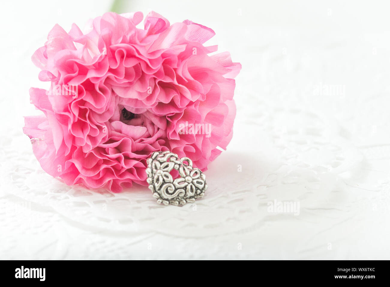 Pale pink ranunculus hi-res stock photography and images - Alamy