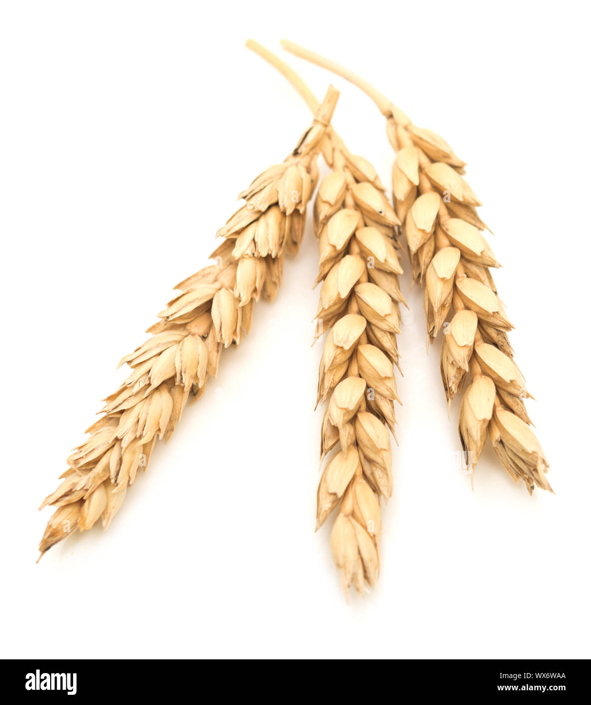 Food with wheat hi-res stock photography and images - Alamy