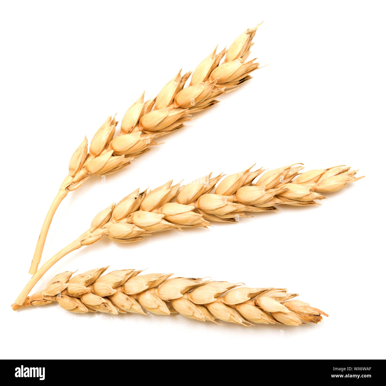 Ears food natural hi-res stock photography and images - Alamy