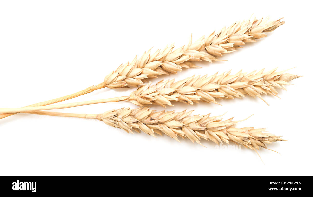 Natural wheat background Cut Out Stock Images & Pictures - Alamy