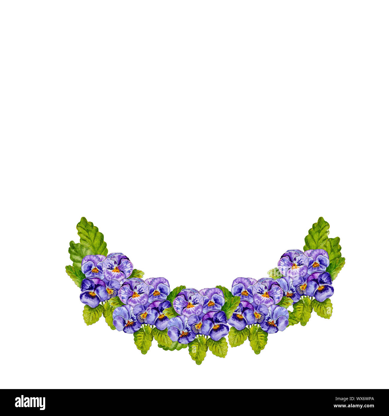 Beautiful violet pansies isolated Cut Out Stock Images & Pictures - Alamy