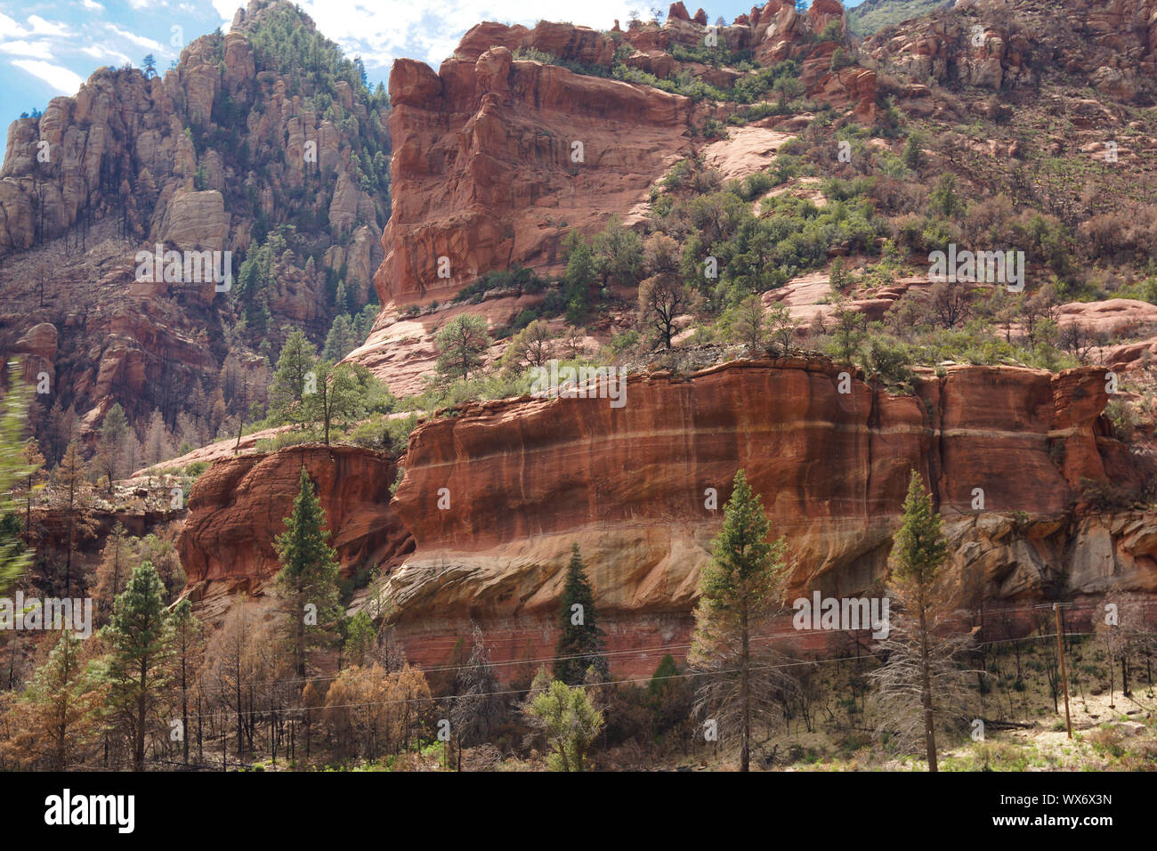 Red butte canyon scenery hi-res stock photography and images - Alamy