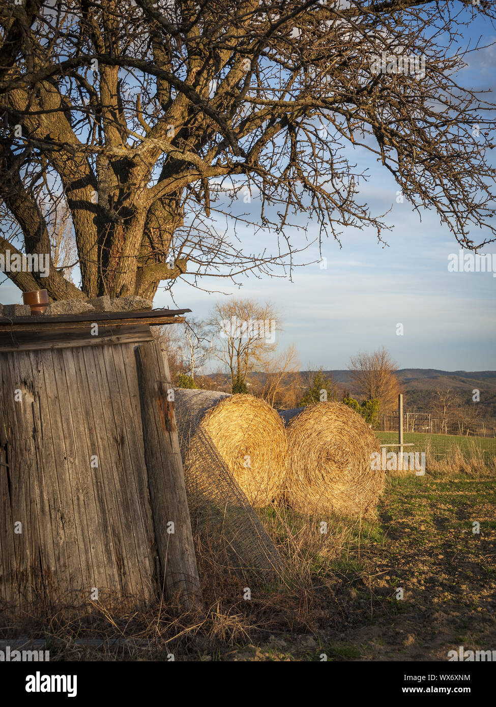 Hayrolls and a small hut Stock Photo - Alamy