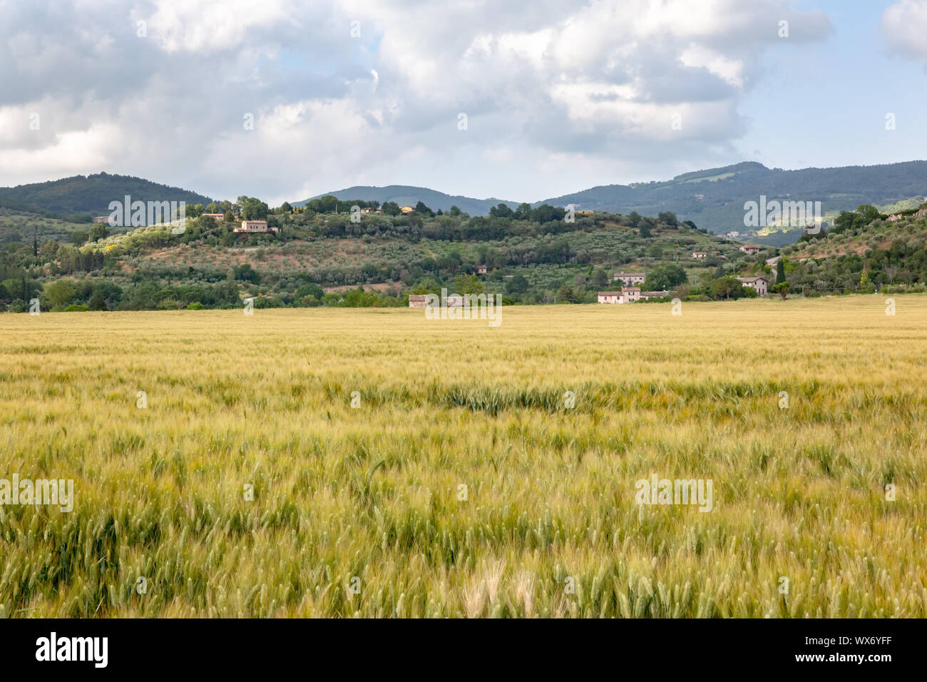 landscape mood in Italy Marche Stock Photo - Alamy