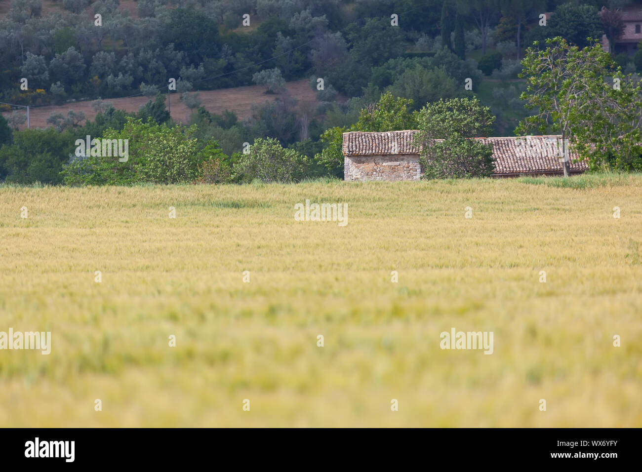 landscape mood in Italy Marche Stock Photo - Alamy