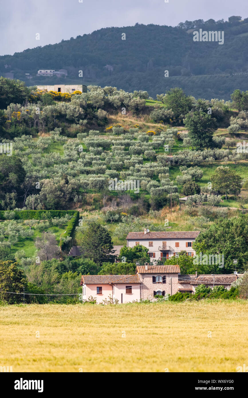 landscape mood in Italy Marche Stock Photo - Alamy