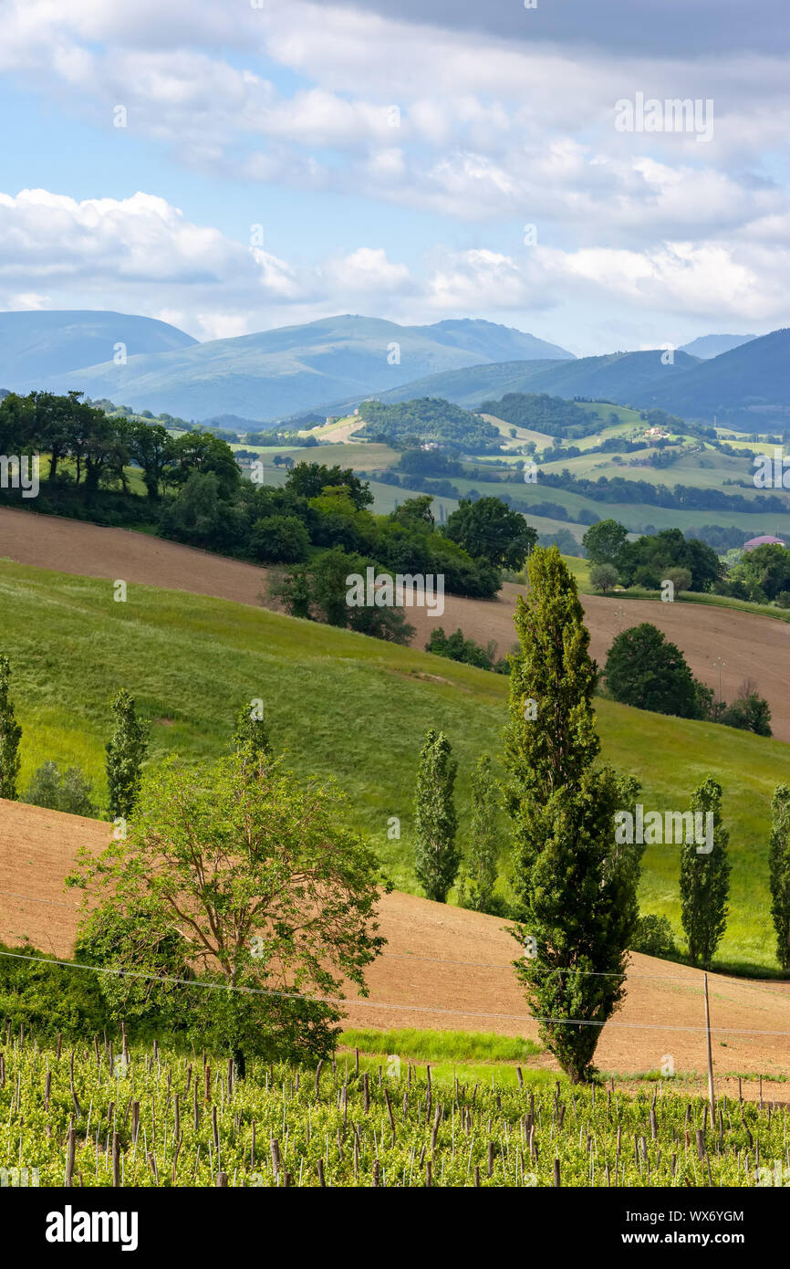 Assisi valley view of assisi hi-res stock photography and images - Alamy