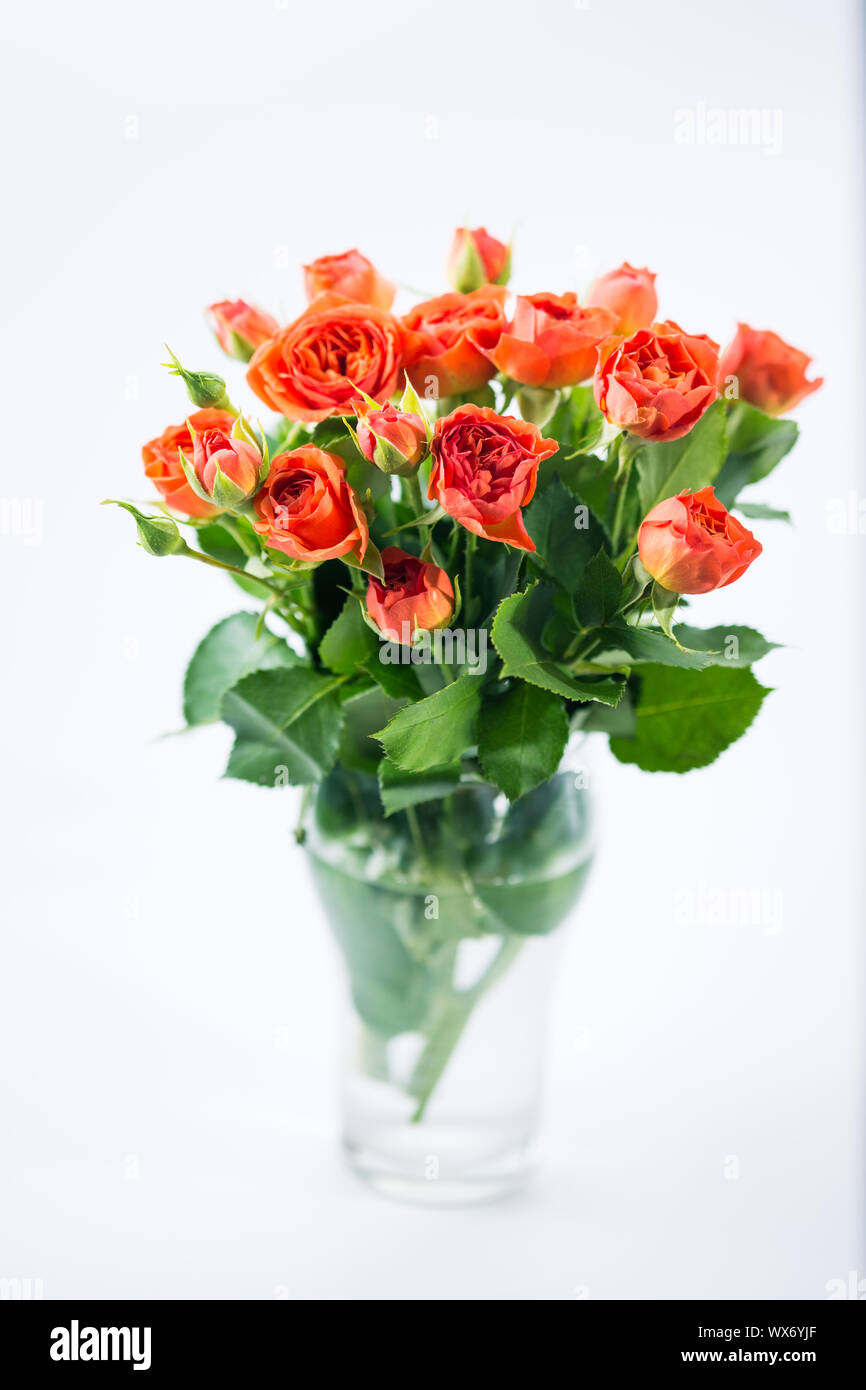 Orange objects hi-res stock photography and images - Alamy