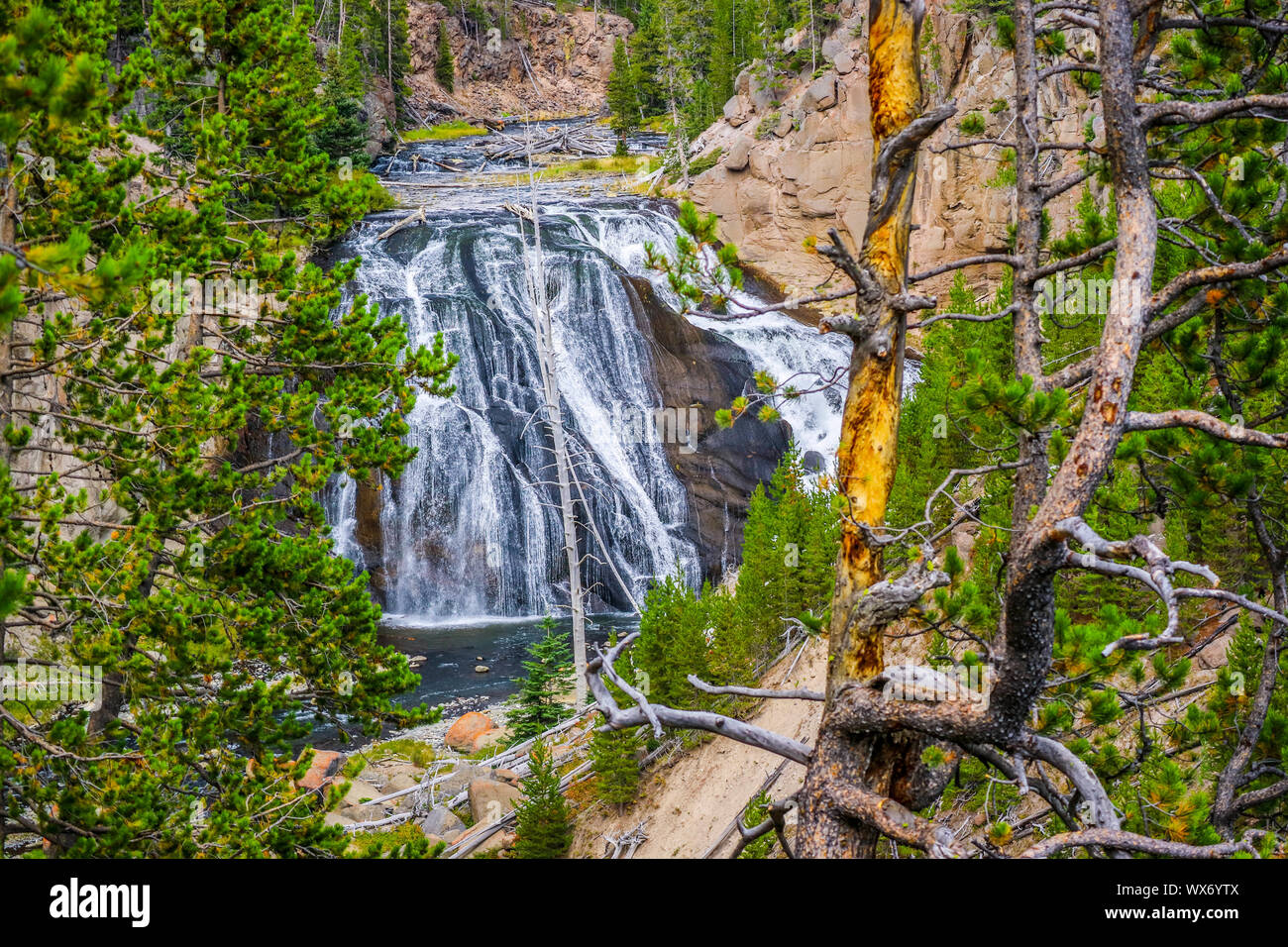 The famous and beautiful Yellowstone River in Wyoming Stock Photo - Alamy