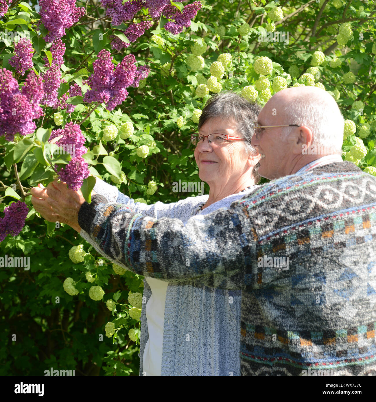 Seniors in spring Stock Photo - Alamy