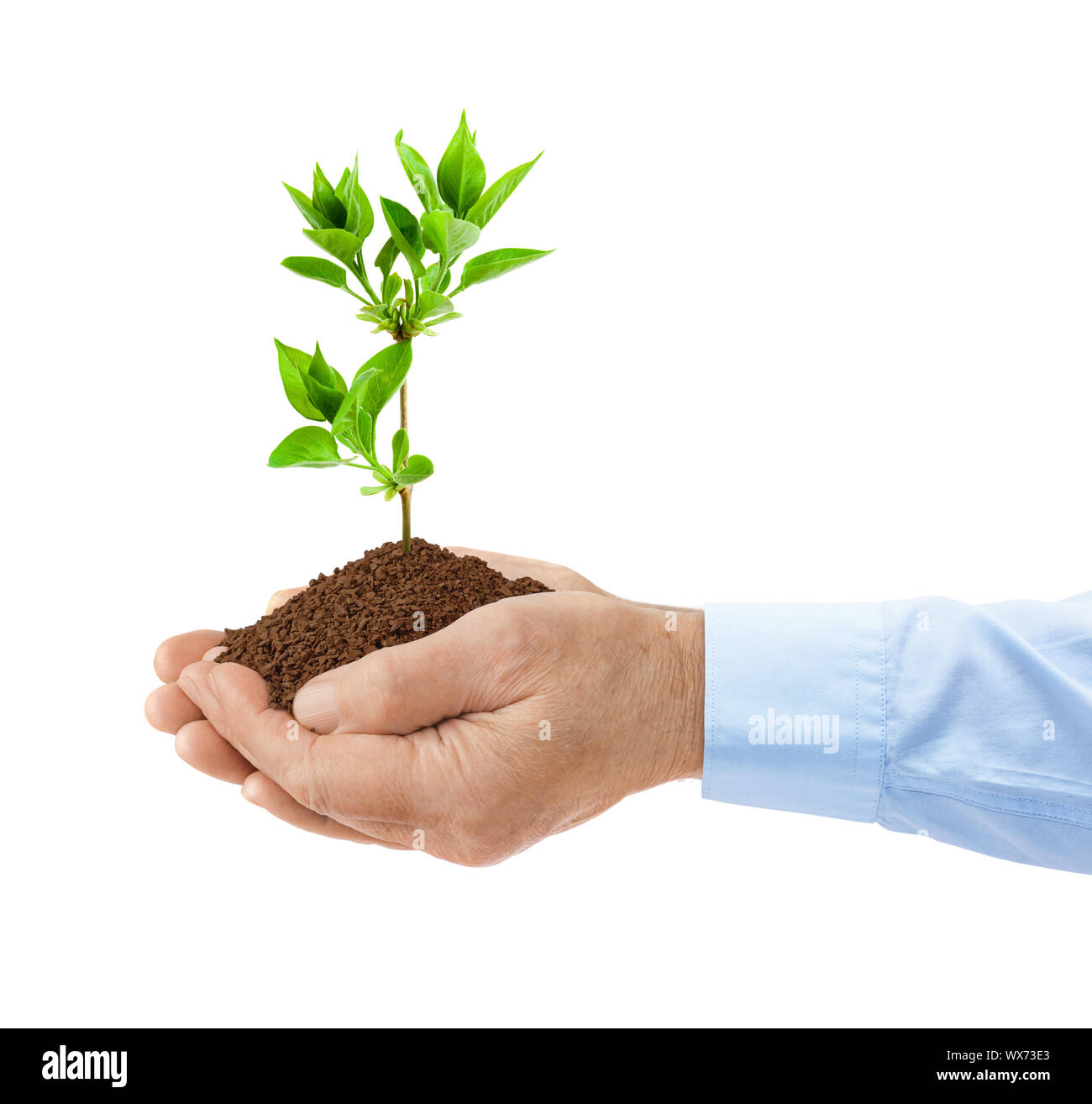 Concept, hands, man, old Cut Out Stock Images & Pictures - Alamy