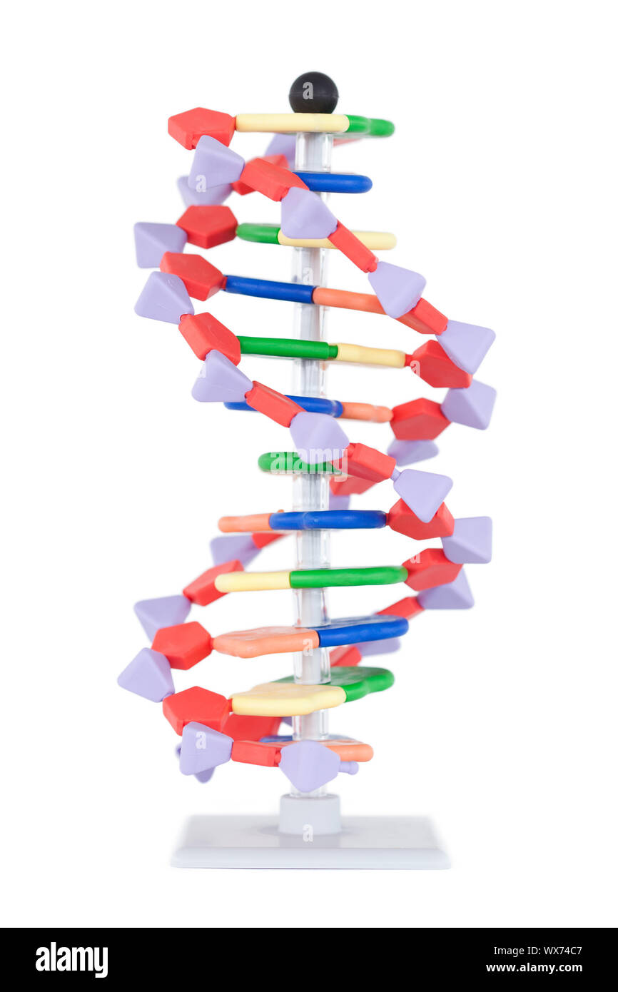Adn genetic hi-res stock photography and images - Alamy