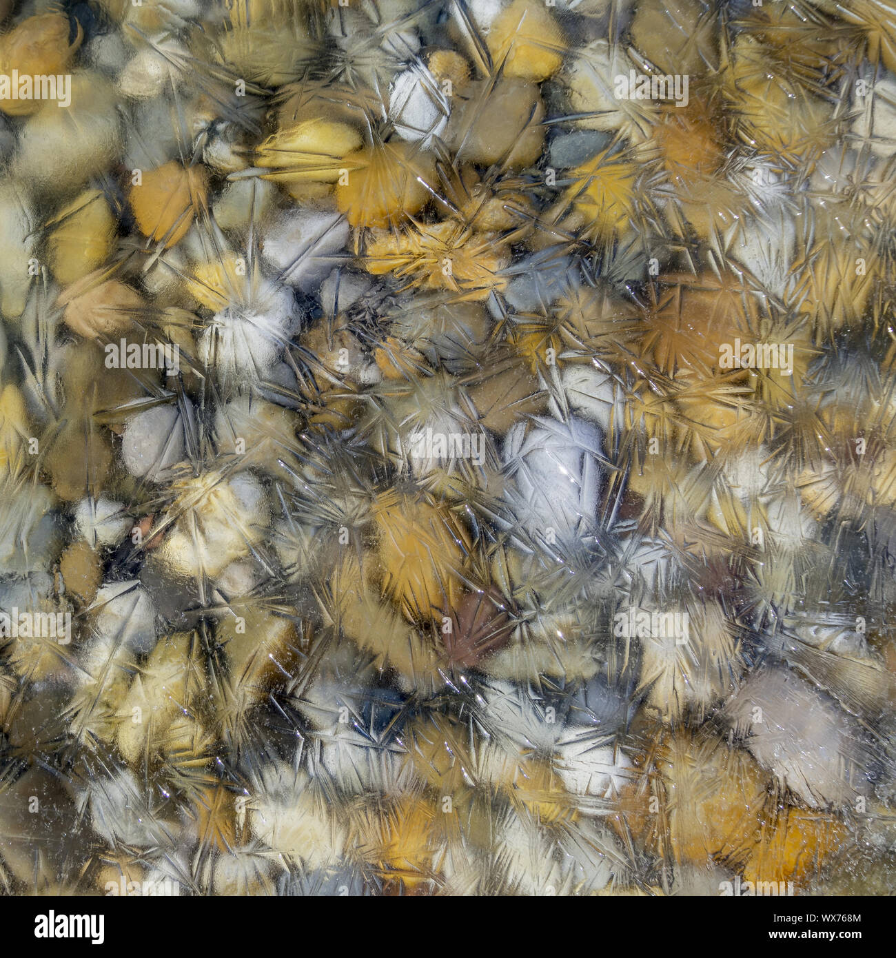 Pebbles on the beach under ice Stock Photo - Alamy