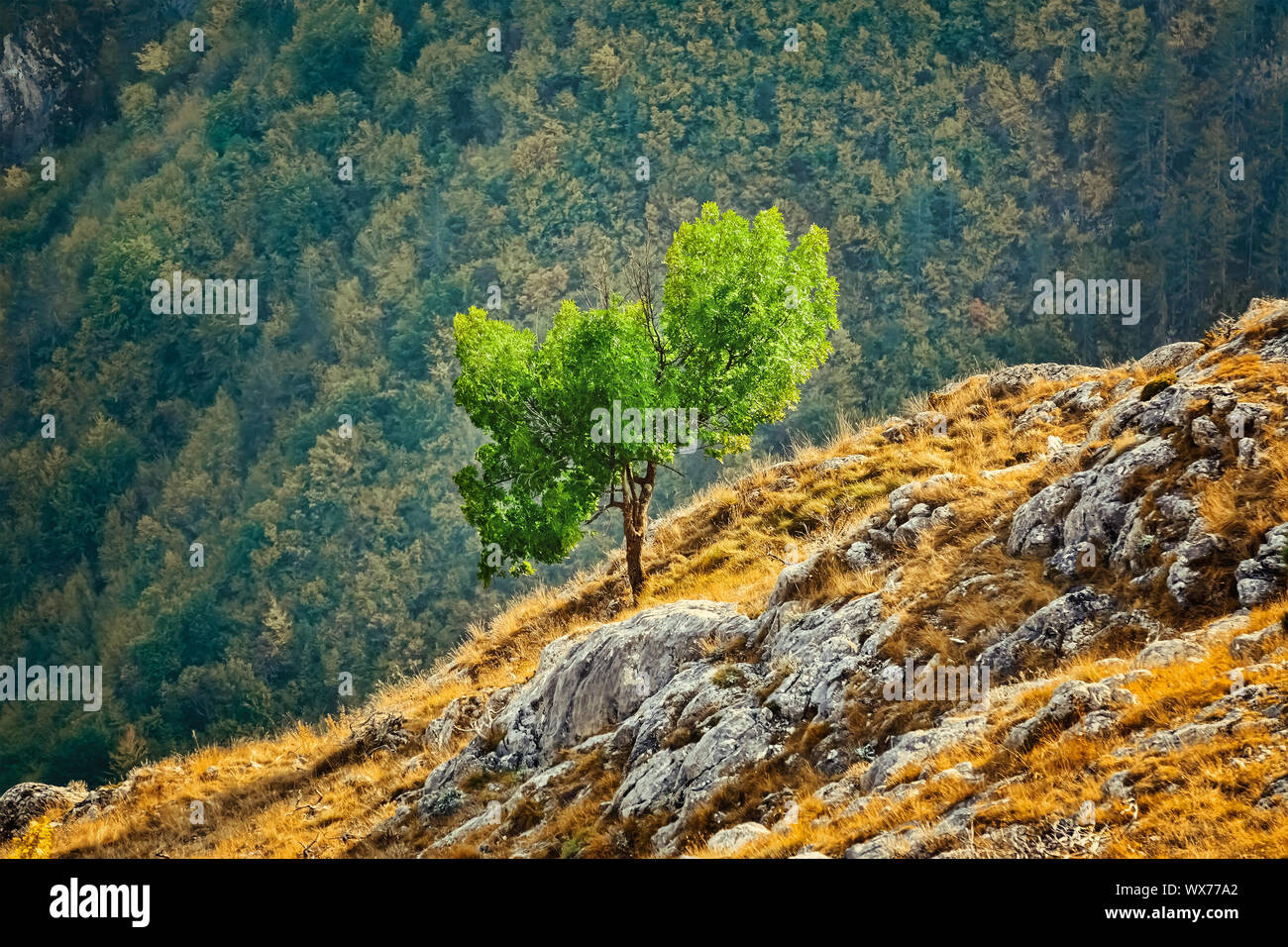 Rhodopes hi-res stock photography and images - Alamy