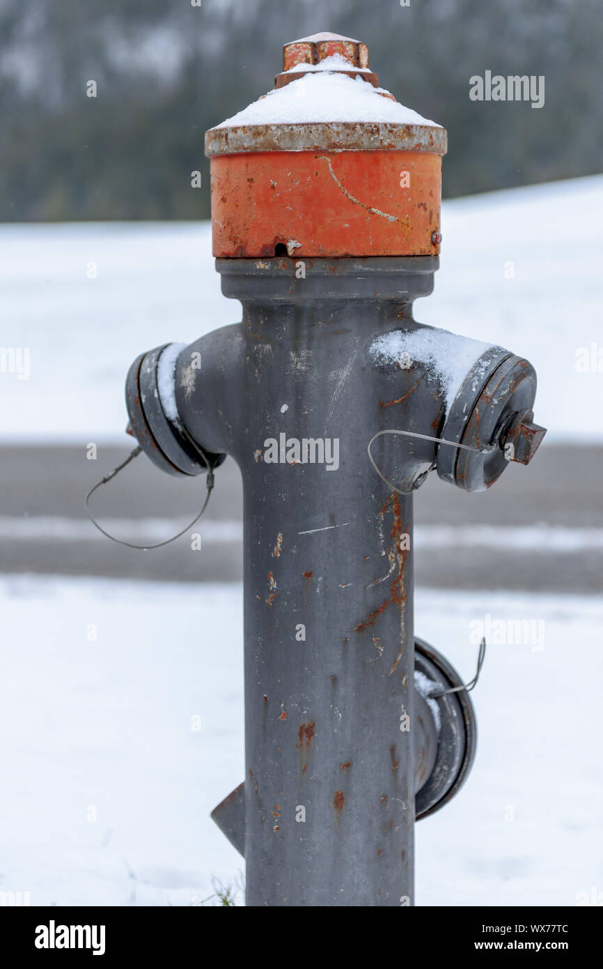 Hydrant in the winter vertical Stock Photo - Alamy