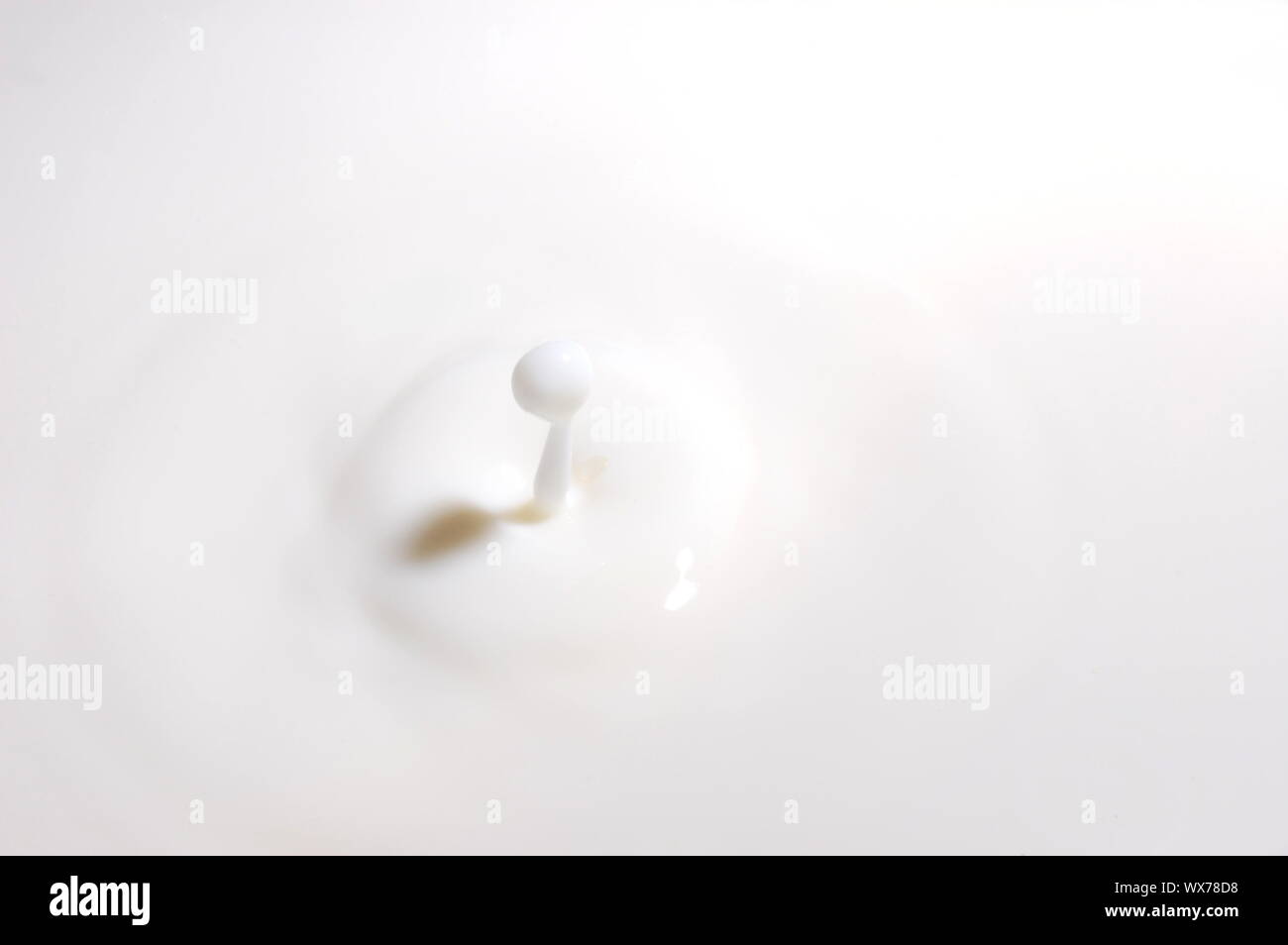 drop of milk splashes into fresh milk Stock Photo - Alamy
