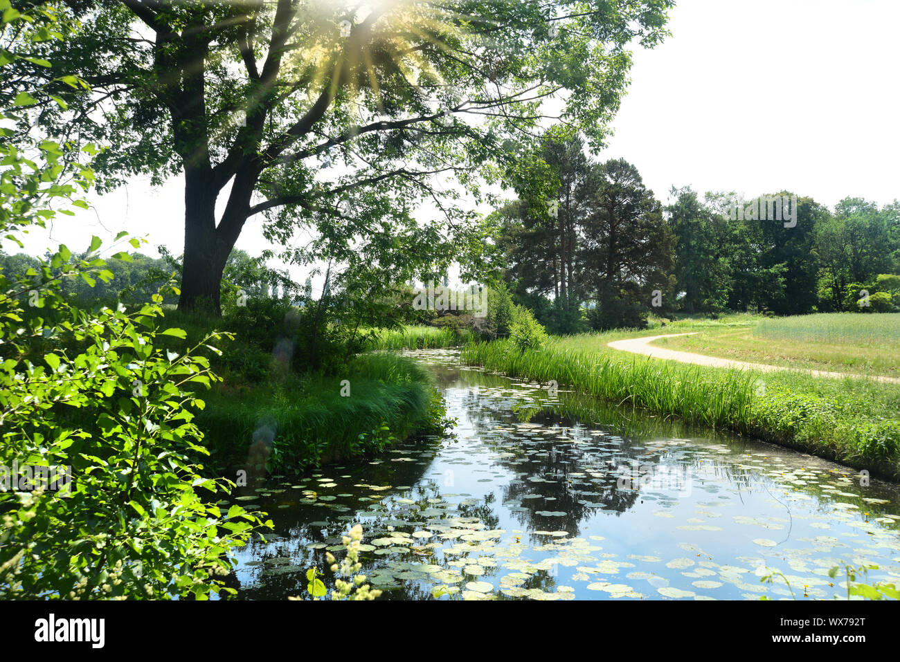 Lakeside land hi-res stock photography and images - Alamy