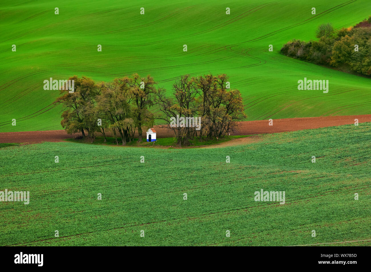 Famous moravian fields - Czech Republic Stock Photo - Alamy