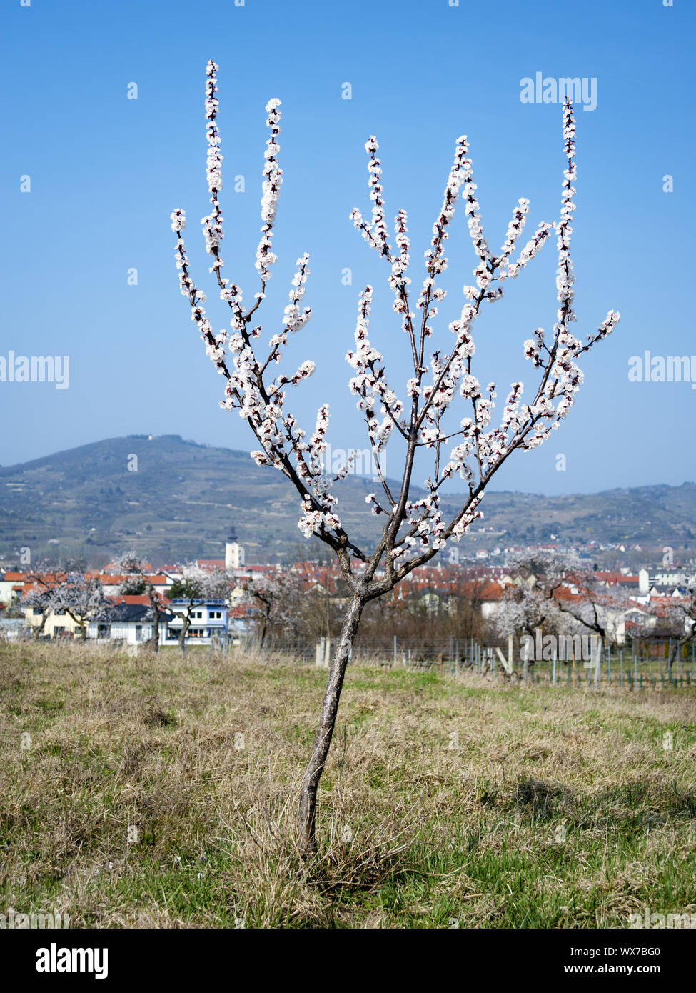 Tr hi-res stock photography and images - Alamy