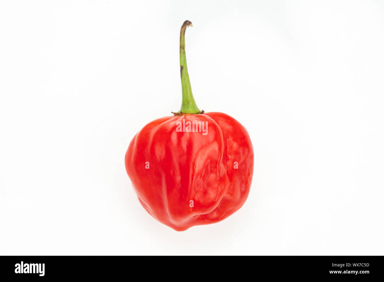 Scotch bonnet chili pepper Stock Photo - Alamy