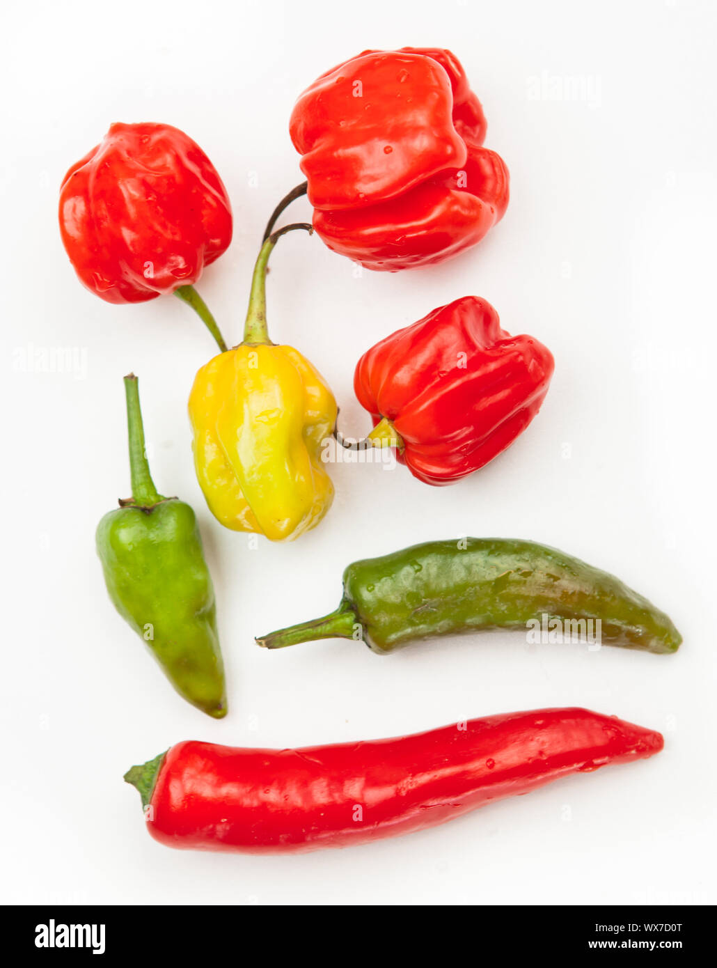 Various hot chillies on white background Stock Photo - Alamy