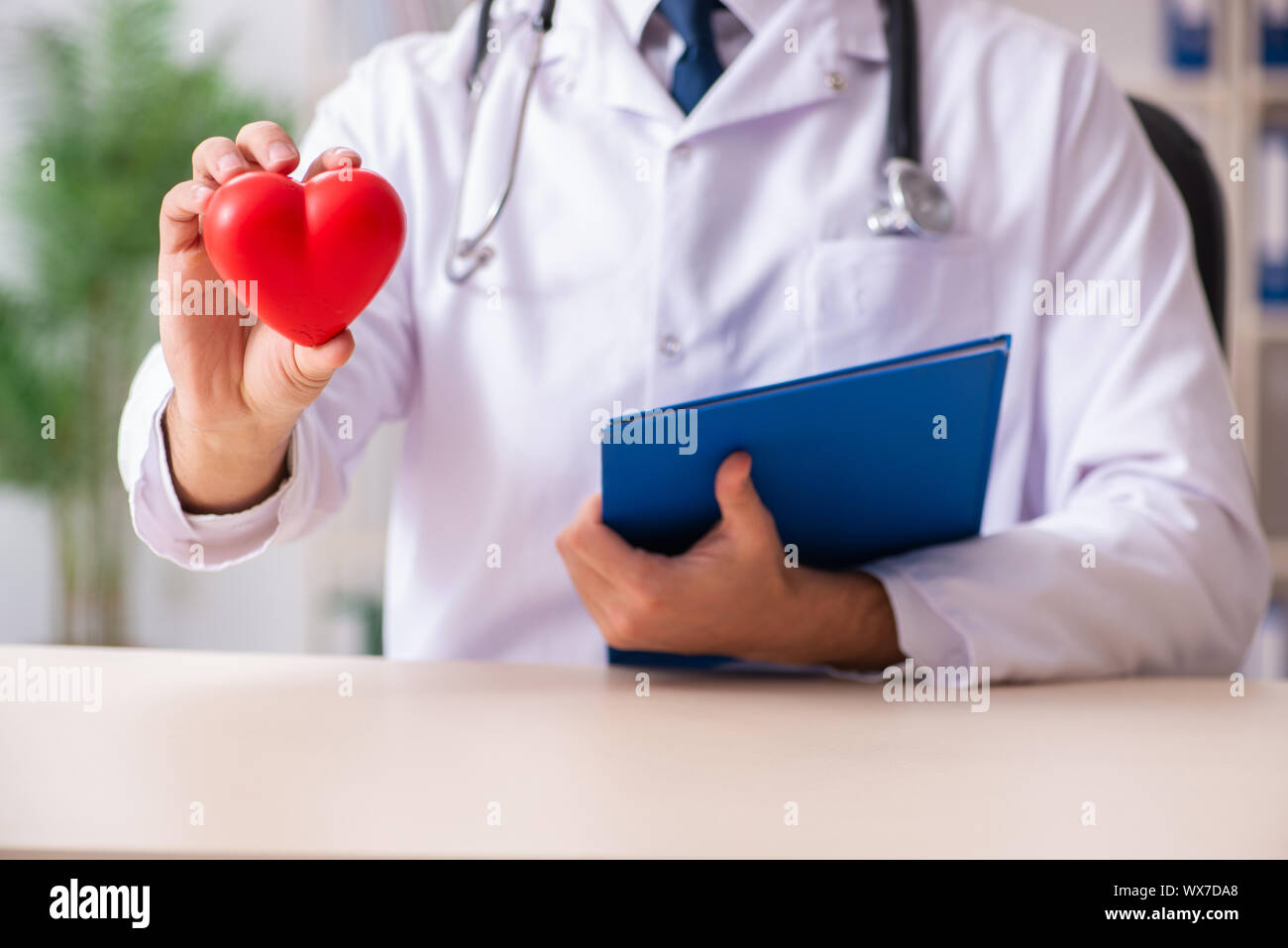 Male doctor cardiologist holding heart model Stock Photo - Alamy