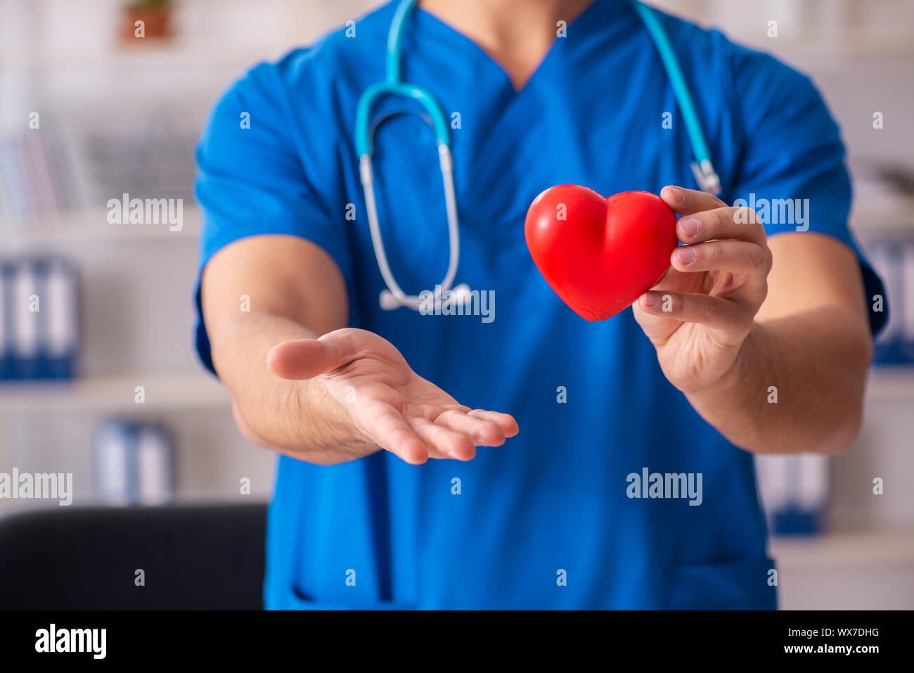 Male doctor cardiologist holding heart model Stock Photo - Alamy