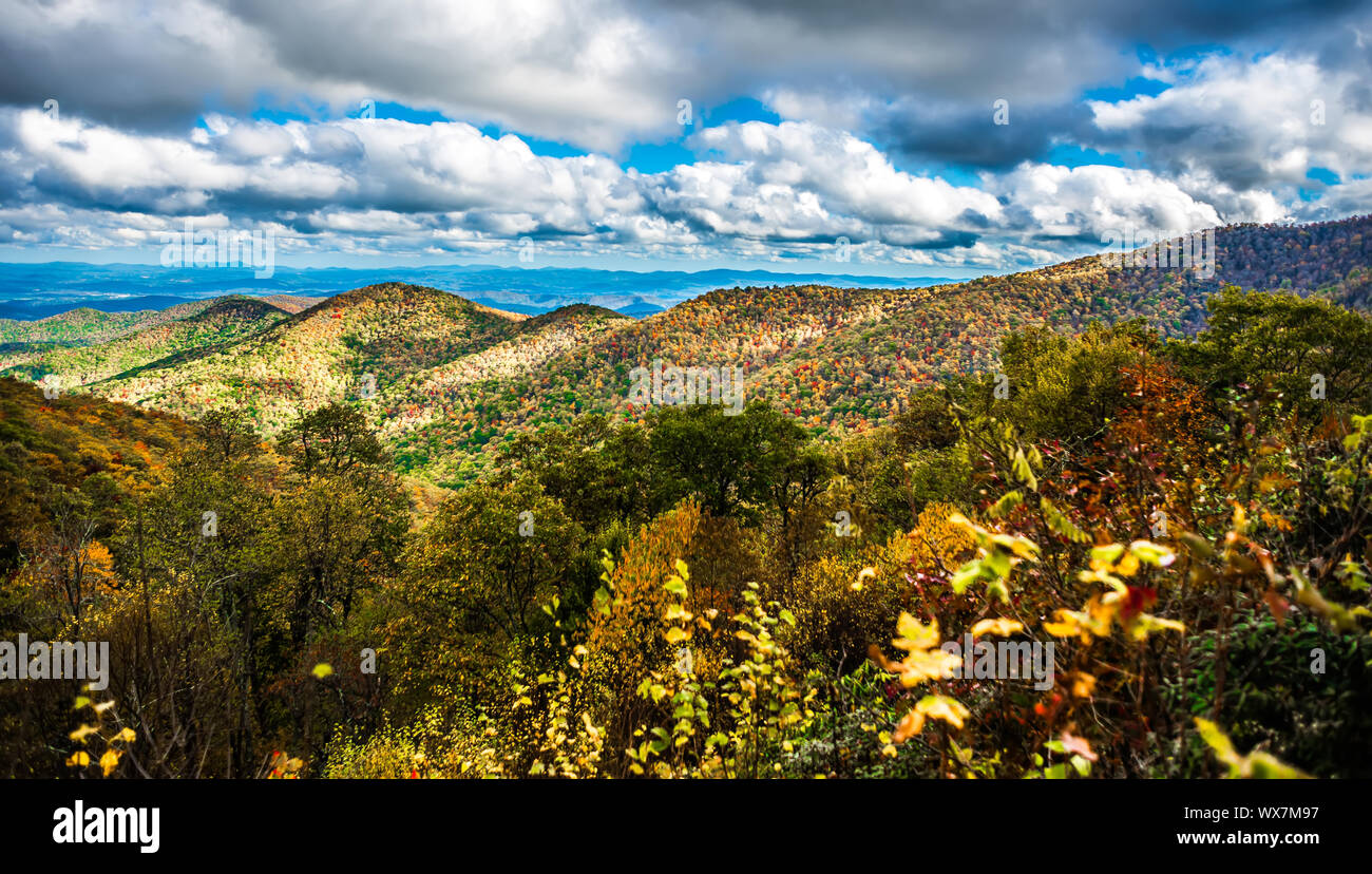 blue ridge and smoky mountains changing color in fall Stock Photo - Alamy