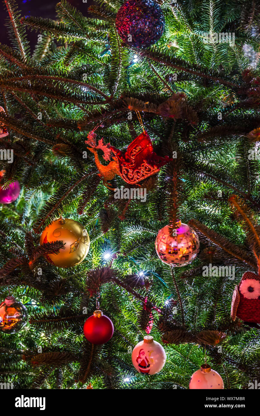 live christmas tree decorated for holidays Stock Photo - Alamy