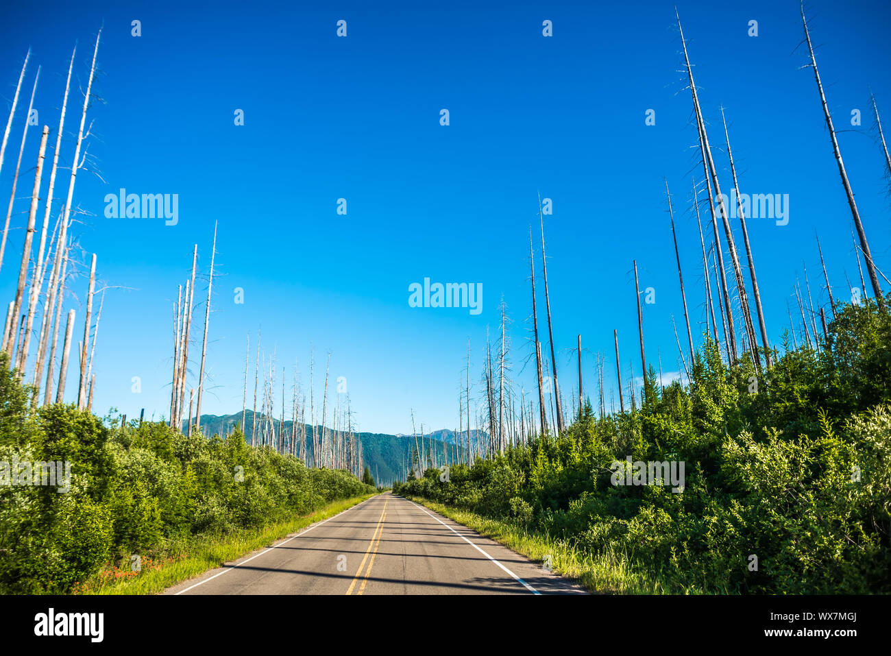 wide open vast montana landscape in summer Stock Photo - Alamy