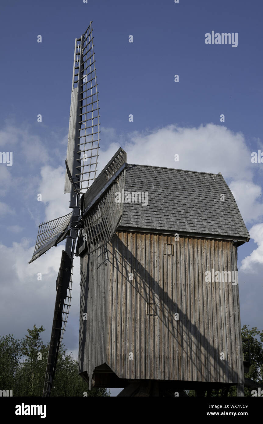 Historic tree hi-res stock photography and images - Alamy