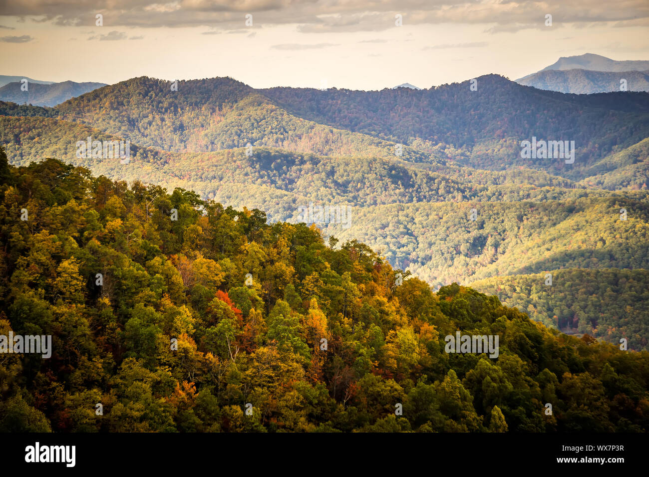 blue ridge and smoky mountains changing color in fall Stock Photo - Alamy