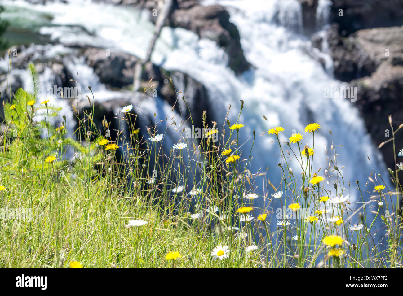 Snoqualmie falls park hi-res stock photography and images - Alamy