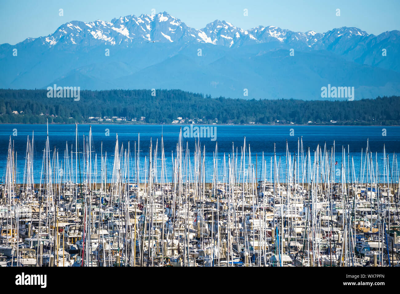 olympic mountains and boat marina in puget sound washington state Stock ...