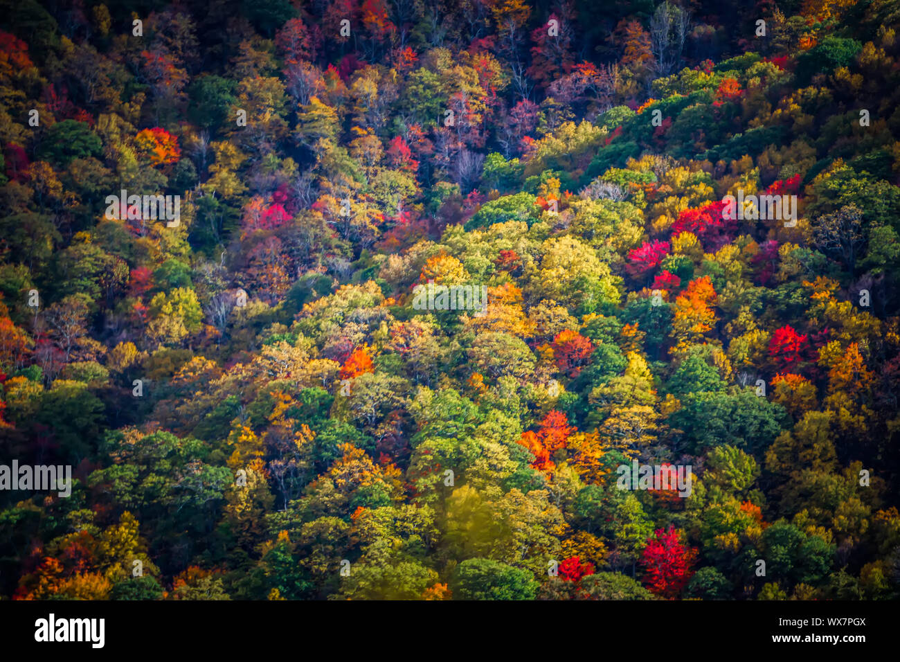 blue ridge and smoky mountains changing color in fall Stock Photo - Alamy