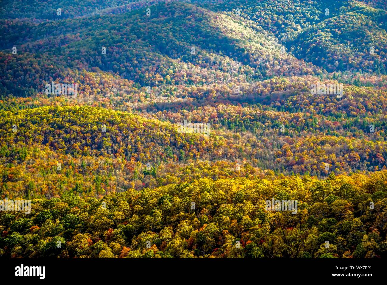 blue ridge and smoky mountains changing color in fall Stock Photo - Alamy