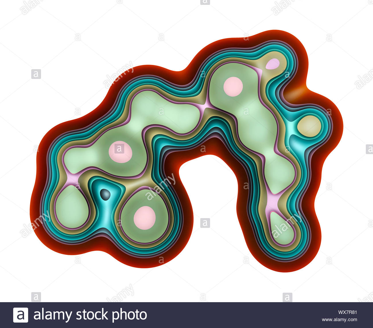 Multicellular Organism Stock Photos & Multicellular Organism Stock ...