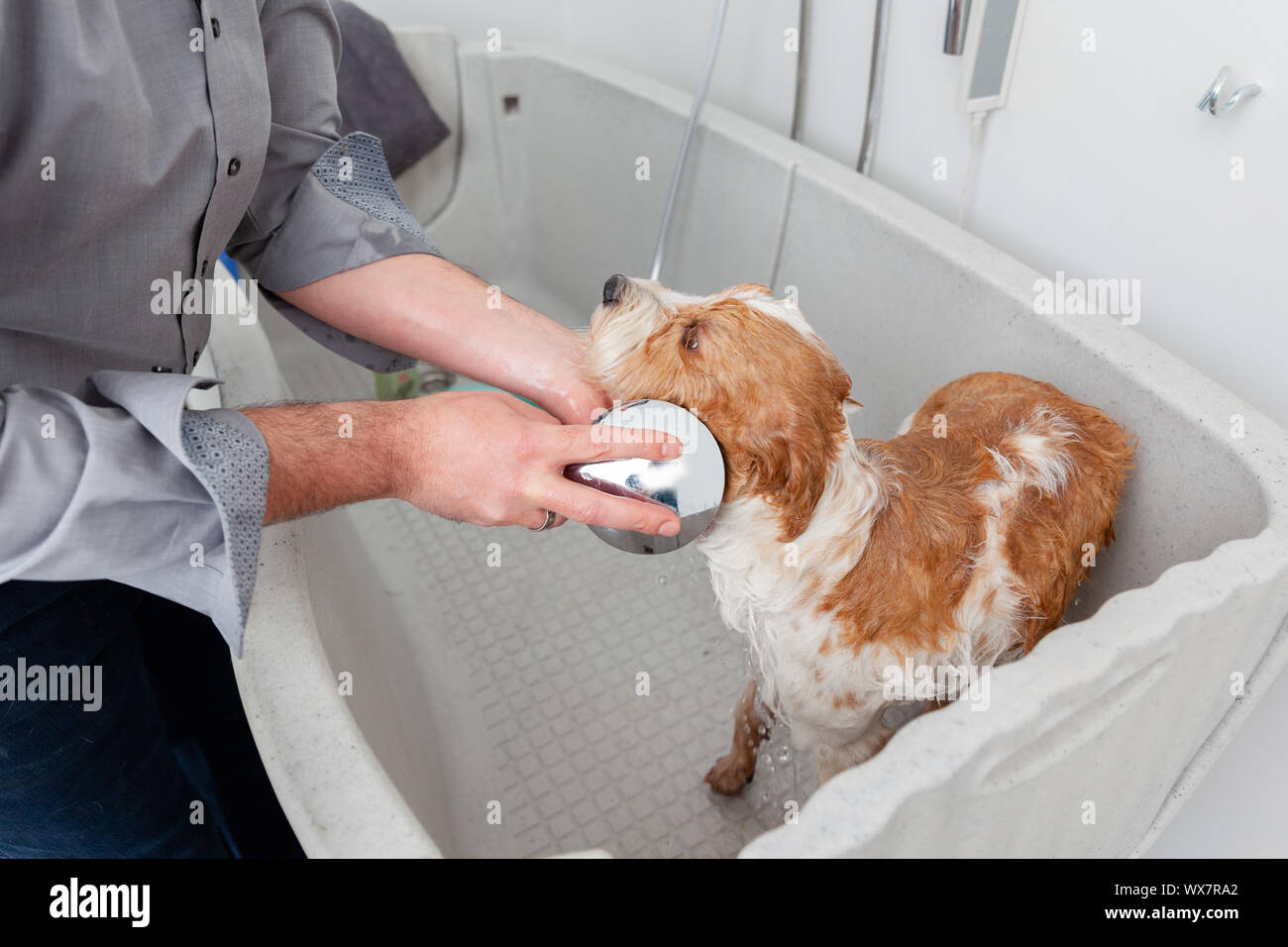 Clean your space hi-res stock photography and images - Alamy