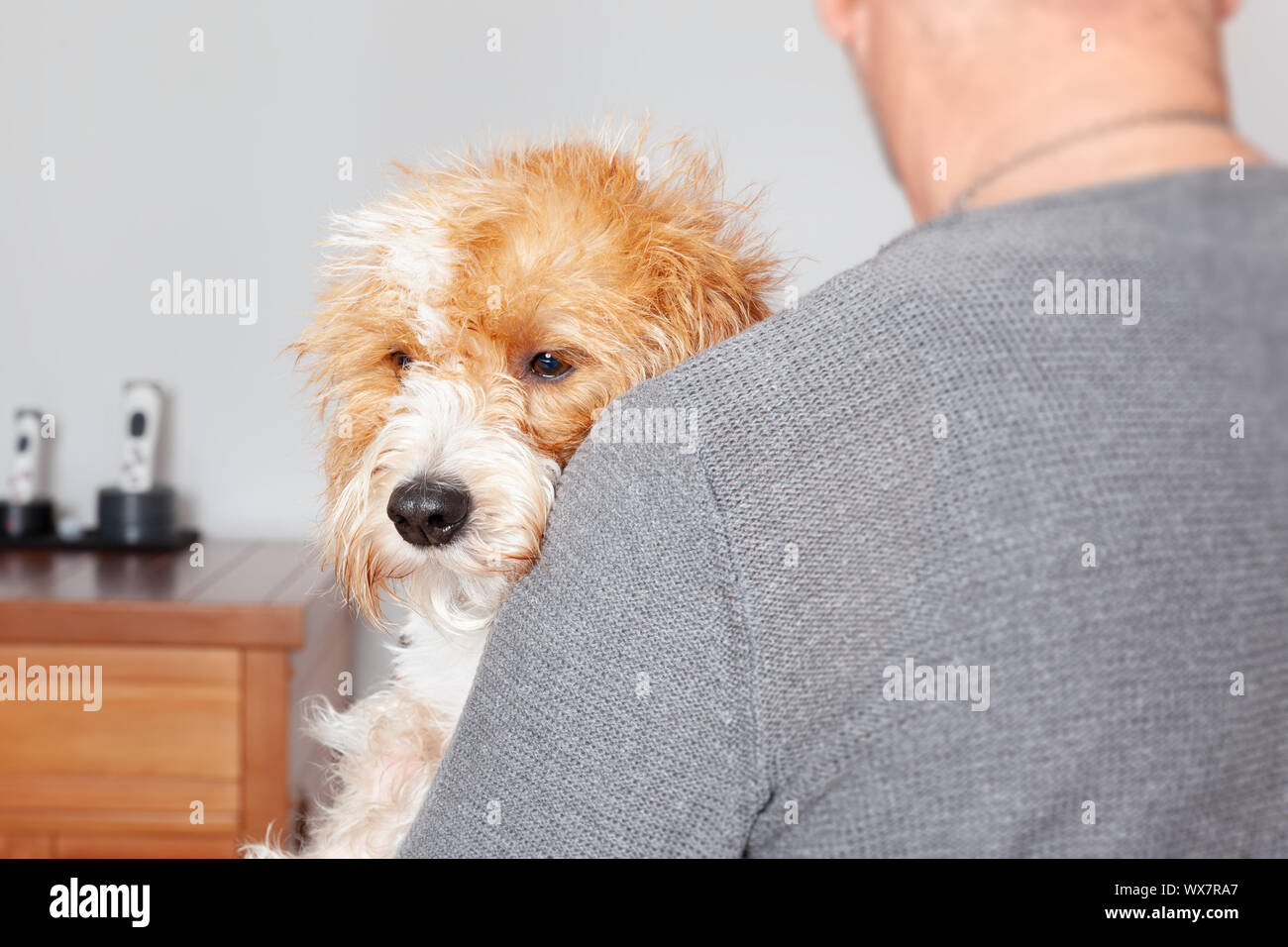 sweet dog hug Stock Photo - Alamy